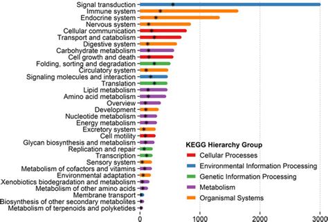 Kegg Functional Annotation Of T Thynnus Transcripts The Pathways Were Download Scientific