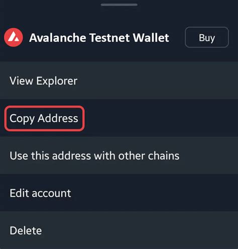 What Is Avalanche Faucet Official Fuji Testnet 2022