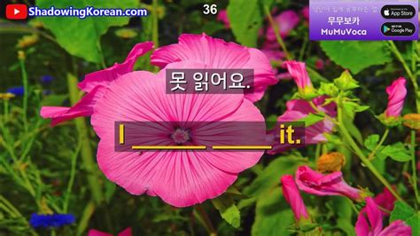 힐링영어 매일 30분 기초 영어회화 흘려듣기 61 왕초보용 Youtube