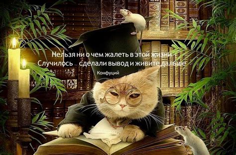 Health Iherb Store ЧОМУ ВИНИКАЮТЬ НАБРЯКИ ПІД ОЧИМА ⠀ 🌿 Захоплення солоною їжею