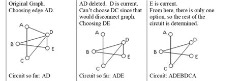 Euler Path Time Complexity Temporal Networks In Biology And Medicine