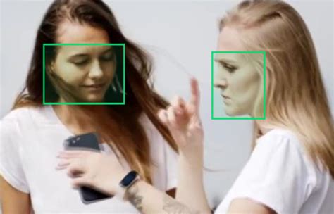 Face Detection Userscript Example