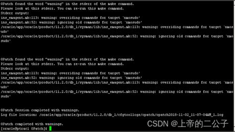 11g Rac Psu Cpu Ojvm补丁升级过程oracle11g最新补丁 Csdn博客 11g Rac Psu Cpu Ojvm补丁升级过程oracle11g最新补丁 Csdn博客
