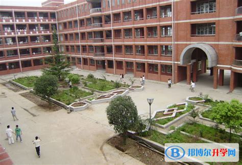 信阳二高录取分数线 2023年参考