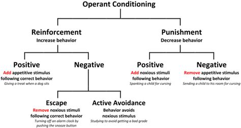 What Is Operant Conditioning Ap® Psychology Review Albert Resources