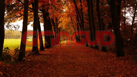 1399 Hosted At Imgbb — Imgbb