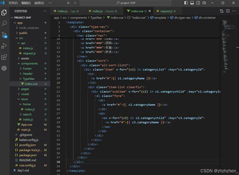 如何在项目中展示真实数据 Csdn博客