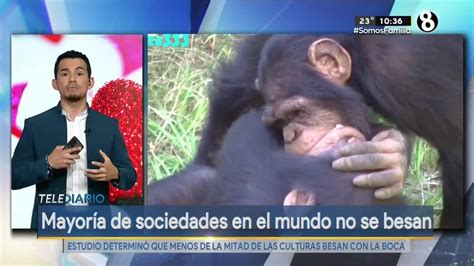 ¿por Qué Nos Besamos Telediario Costa Rica