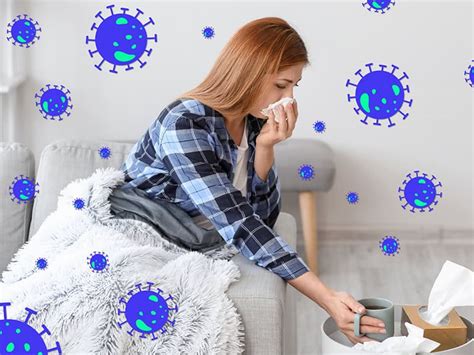 Факти за имунитета които ще ви удивят Имунобор