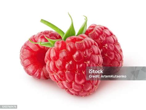 고립 된 열매 클리핑 경로와 흰색 배경에 고립 된 세 라즈베리 과일 0명에 대한 스톡 사진 및 기타 이미지 0명 3가지 개체 개체 그룹 Istock