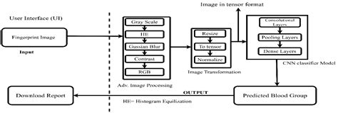 Blood Group Detection And Management Using Advanced Deep Learning And