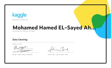 mohamed hamed el sayed ahmed dabour completed the data cleaning course on kaggle