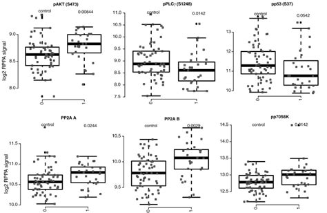 Impact Of Kras Lesions On Signaling Akt S473 Phosphorylation Pp2a