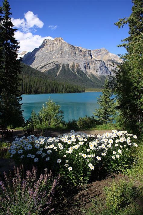 горы | Beautiful nature, Beautiful landscapes, Nature pictures
