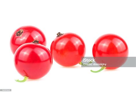 흰색 배경에 고립 된 빨간 건포도 열매 그룹 신선한 잘 익은 베리 건강한 식생활에 대한 스톡 사진 및 기타 이미지 건강한 식생활 과일 까치밥나무 열매류 Istock