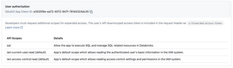 configure authorization in a databricks app databricks documentation