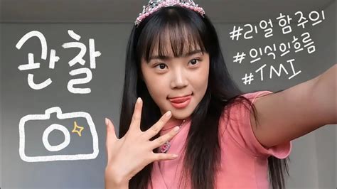 빵이로그 귀여운 사람 관찰카메라 2 Youtube