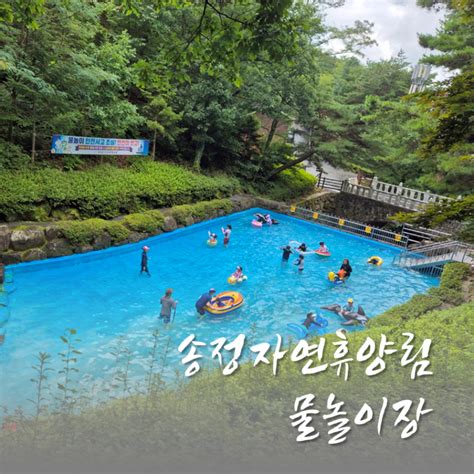 칠곡 송정자연휴양림 물놀이 및 1야영장 방문기 네이버 블로그