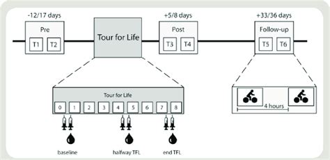 Study Design Incremental Cycling Ergometer Tests T Were Performed Download Scientific