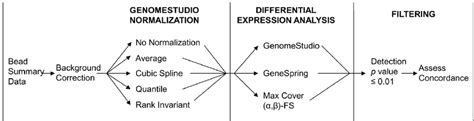 Flowchart Illustrating The Different Normalization Procedures And Download Scientific Diagram