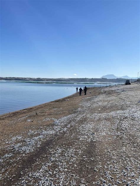 ИАРА иззе 19 въдици на бракониери от язовир Огоста снимки