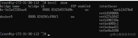 狂人日记》 Docker从入门到进阶之进阶操作 一 阿里云开发者社区