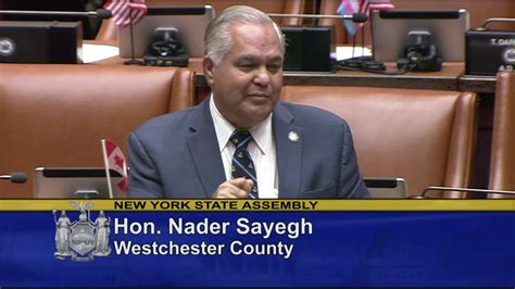 Nader J Sayegh Assembly District 90 New York State Assembly