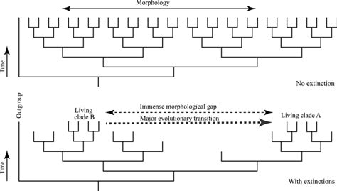 Phylogenetic Trees Illustrating That Systematic Extinctions Can