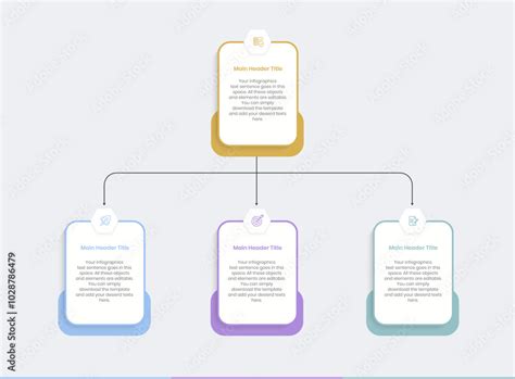 Business Management Level Distribution Structure Infographics Design