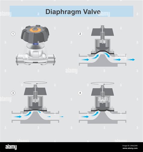Osmotic Pressure Animation