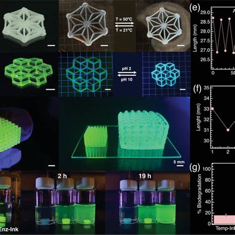 3d Printed Structures Under The Action Of Various Stimuli A Image Of Download Scientific
