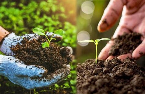 Vijaya Sankar On Linkedin Hello Connections My Article Is About