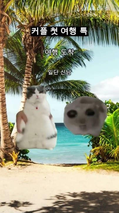 커플 첫 여행 특 Youtube