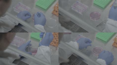 实验室细胞培养操作 视频素材下载