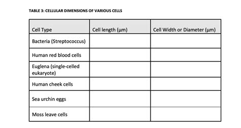 EXERCISE 5 CALCULATION OF CELL SIZE AND DIAMETER OF Chegg Com