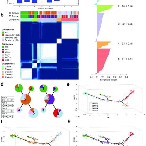 Microbial Community Dynamic Analysis Performed On A Human Gut Download Scientific Diagram