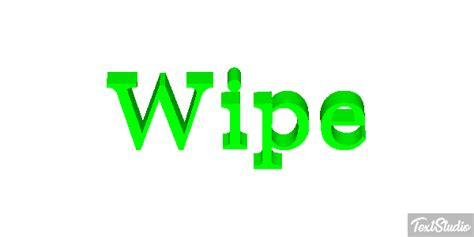 Wipe Word Animated  Logo Designs