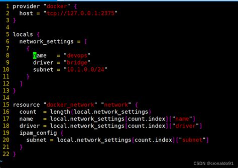 Iac基础设施即代码：terraform 创建 Docker 网络与容器资源