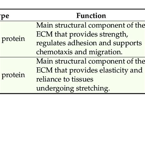 Components Of The Extracellular Matrix ECM Download Scientific Diagram