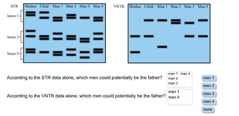 Solved Suppose You Are Asked By A Judge To Interpret Dna