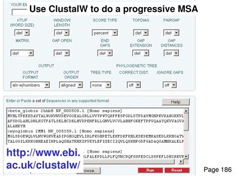 Ppt Multiple Sequence Alignment Msa Powerpoint Presentation Free