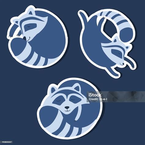 Decorative Vector Sleeping Raccoons Lying Isolated On White Background