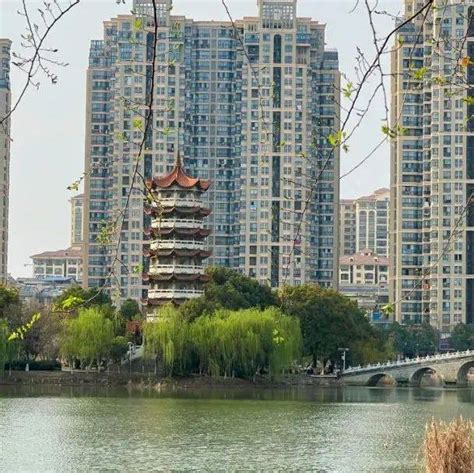 云梦“秋老虎”来了！直升38℃！国庆期间气温大变化桂花天气开花