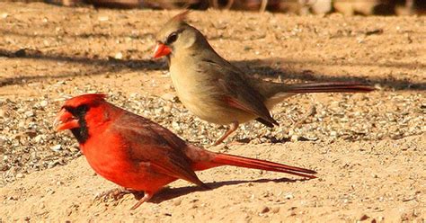 Stereotypes And Social Determinism Psychology Today