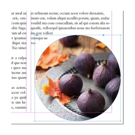 How To Use Text Wrap In Indesign Indesignskills