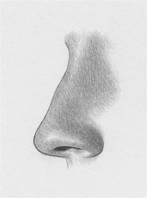 How To Draw A Nose From The Side Easy Для просмотра онлайн кликните