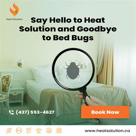Effective Bed Bug Heat Treatment A Comprehensive Guide Heat Solution