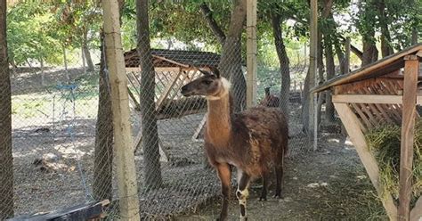 Un Milionar Din Bacău în Proces Cu Familia Alexe Are O Cerere