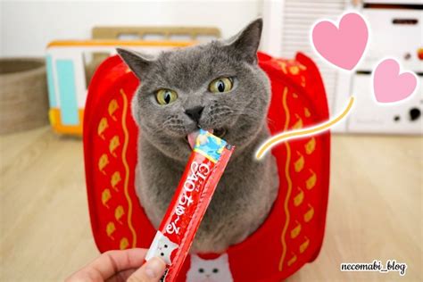 Ciaoちゅーる～世界の猫を喜ばすキャットハウスbook～感想♪ ねこまびブログ
