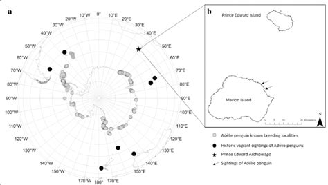 A The Known Breeding Localities Of The Adélie Penguin Pygoscelis